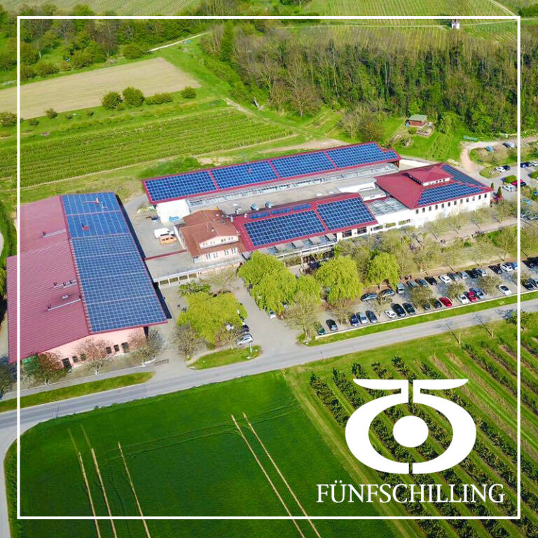 Fünfschilling in Fischingen